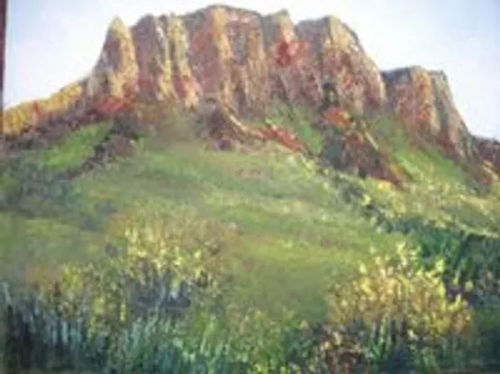 Howard Friedman | Nevada Artists Association